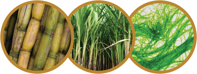 Sustainable Material - TEAMPLAS GROUP CO., LTD